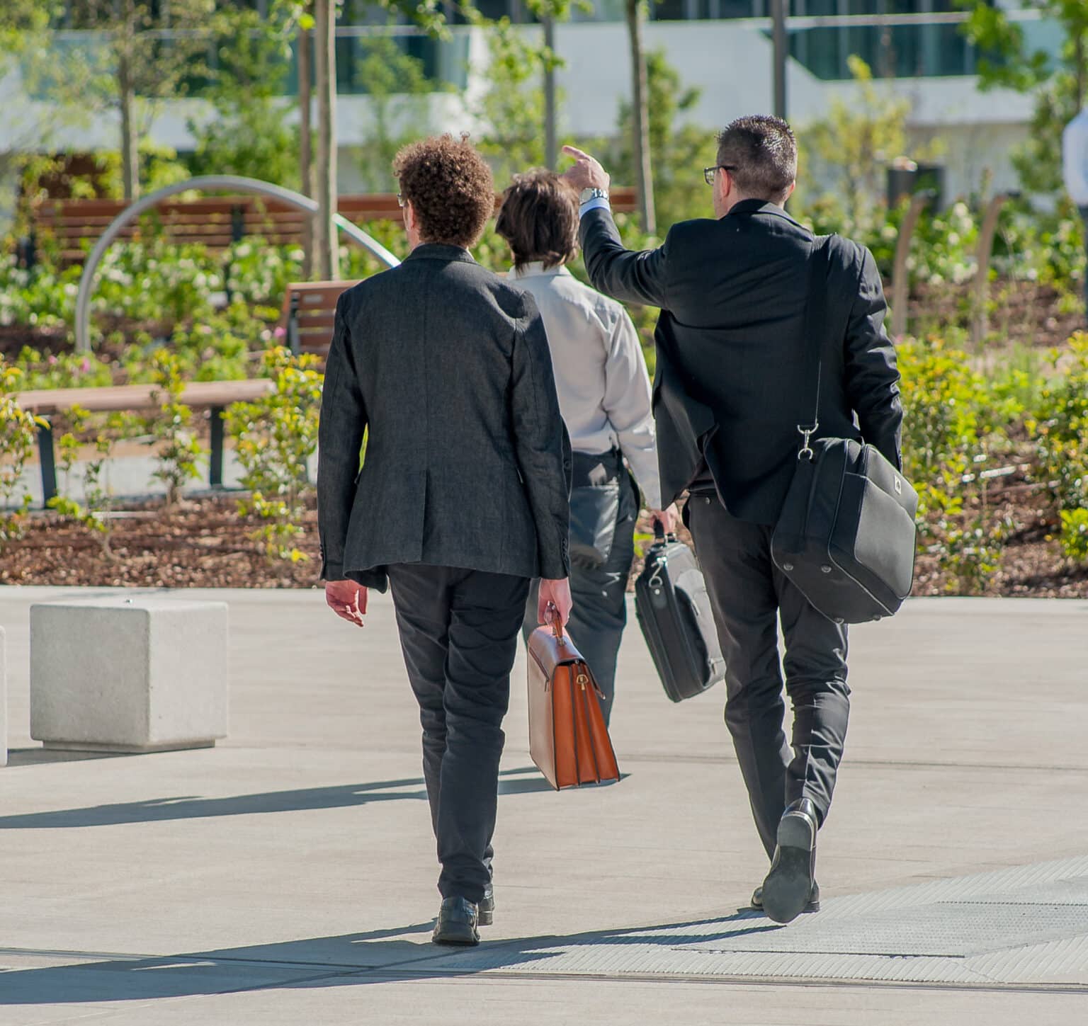 Home - Absolute Immigration